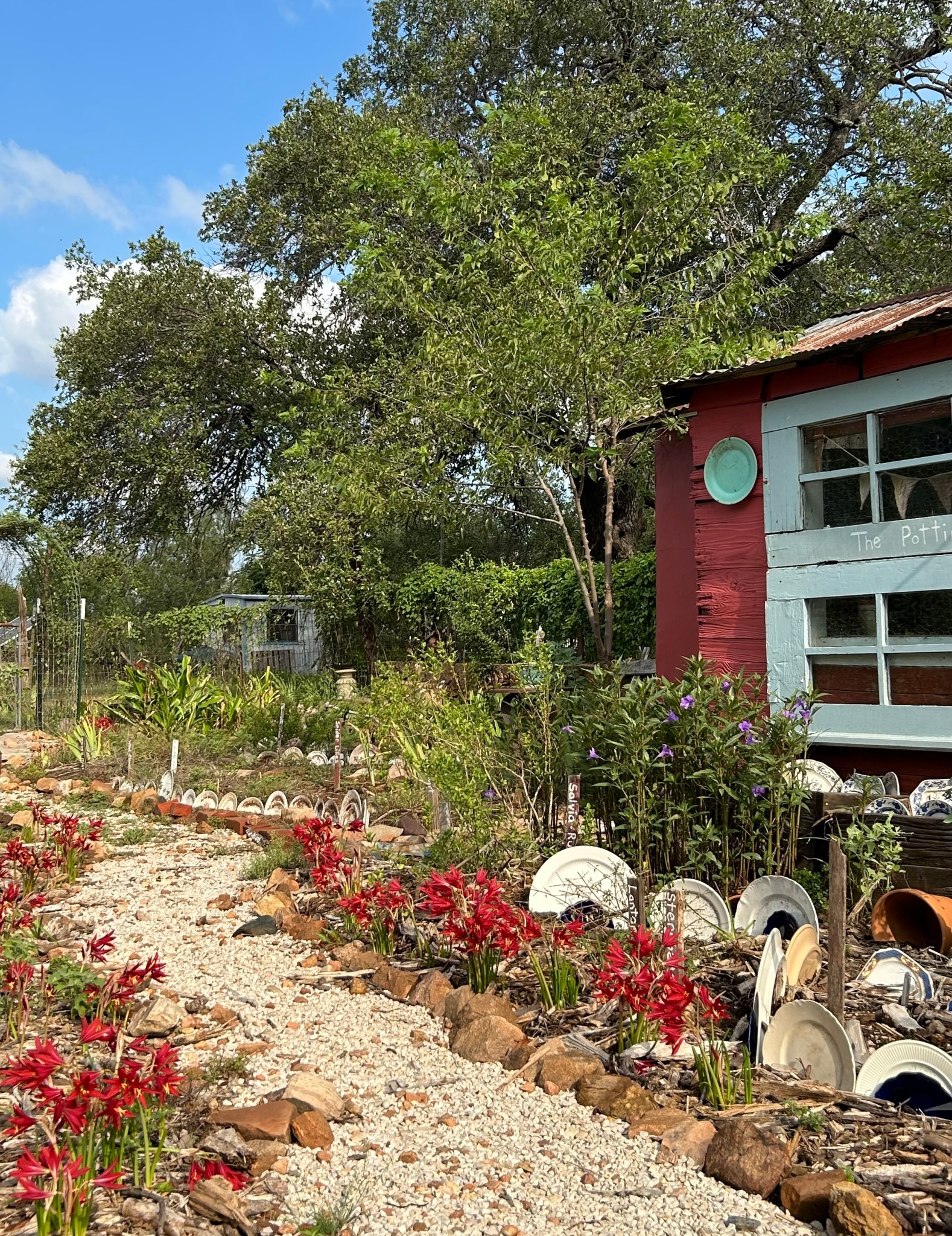 Heirloombulbgirl – Encouraging a Life Long Love of Gardening, while ...
